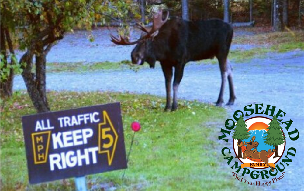 Moosehead Family Campground
